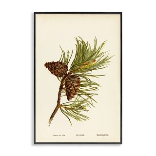 Stupell Fir Tree Cones Framed Giclee Art Design By Tina Higgins Designs ...