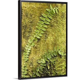 "Vine On Moss-Covered Tree" Black Float Frame Canvas Art - Bed Bath ...
