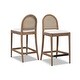 Panama Arched Cane Rattan Counter and Bar Stool (Set of 2) - Bed Bath ...