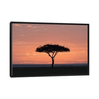 iCanvas "Kenya, Amboseli National Park. Sunrise backlights umbrella ...