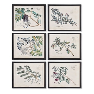 Berry Branch Botanical Study, Set Of 6 - Bed Bath & Beyond - 37631717