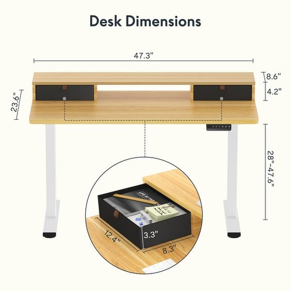 FlexiSpot 48"x24"/55"x24" Ergonomic Height Adjustable Standing Desk ...