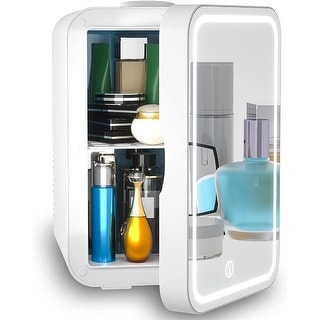 Mini Fridge Portable Beauty Makeup Skincare Fridge Cosmetic LED Mirror ...