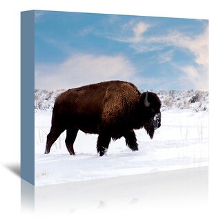 Americanflat - Lone Buffalo by Amanda Abel - 8"x10" - Bed Bath & Beyond ...