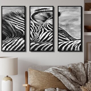 Designart "Zebra With Contrasting Black And White Stripes III ...