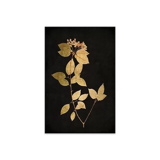 Golden Nature VI Print On Acrylic Glass by Kate Bennett - Bed Bath ...
