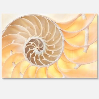 Golden Nautilus Shell Pattern - Abstract Art Glossy Metal Wall Art ...