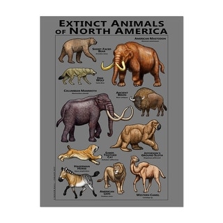 Extinct Animals of North America Illustrations Bear Art Print/Poster ...