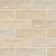 Emser Tile Passion 3 in. x 8 in. Glossy Porcelain Wall Tile (3.92 sq ...