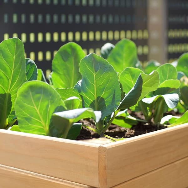 VEIKOUS Wooden Raised Garden Bed for Vegetables Oversized Deep Planter ...