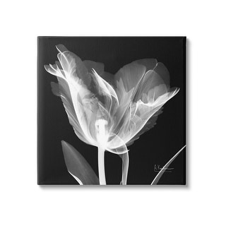 Stupell Tulip Flower X-Ray Canvas Wall Art Design by Albert Koetsier - Bed Bath & Beyond - 39058424