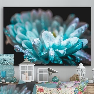 Designart "Blue Daisy Flower In Morning Dew" Traditional Canvas Wall ...