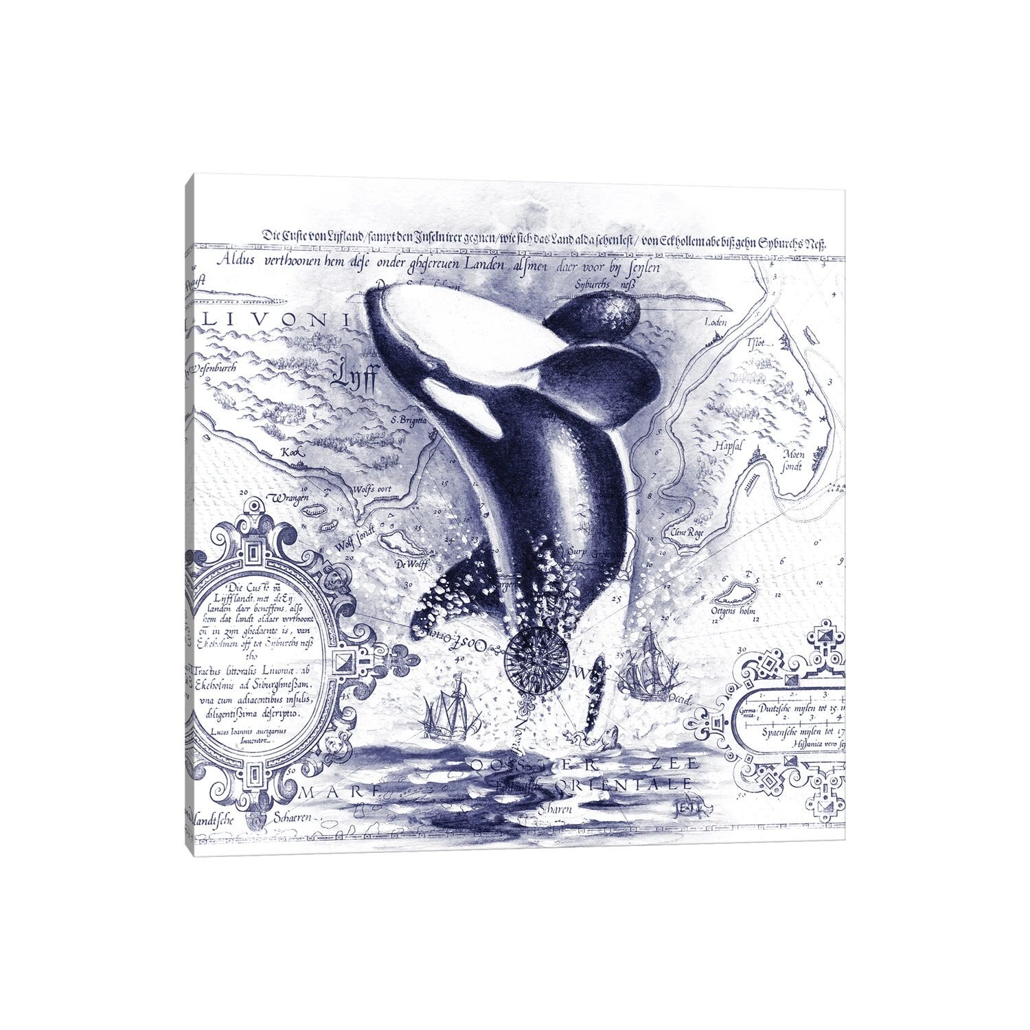 orca breaching drawing