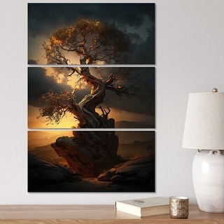 Designart "Bonsai Tree At Sunset " Tree Bonsai Canvas Art Print - 3 ...