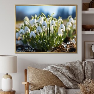 Designart "White Green Snowdrops Field III" Floral Framed Wall Decor ...
