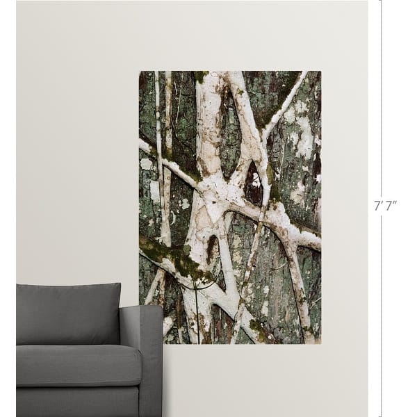 strangler fig tree pattern