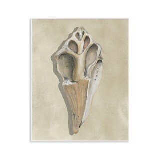 Stupell Broken Conch Shell Wall Plaque Art Design By Michael Willett ...