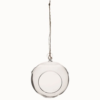 7 inch Round Glass Hanging Terrarium - Bed Bath & Beyond - 36882372