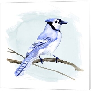 Jacob Green 'Coastal Blue Jay I' Canvas Art - Bed Bath & Beyond - 31597223