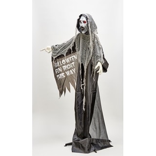 66" Standing Animated Light Up Reaper w/ Directions - Bed Bath & Beyond ...