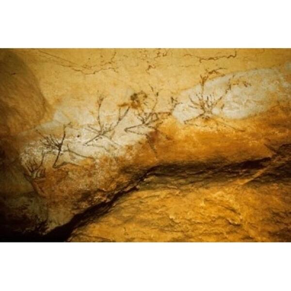 Frieze Of Stags 15 000 Bc Prehistoric Art Cave Painting Lascaux Caves ...