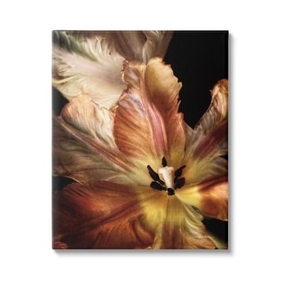 Stupell Tulip Petals Detail Canvas Wall Art Design by Debra Van ...