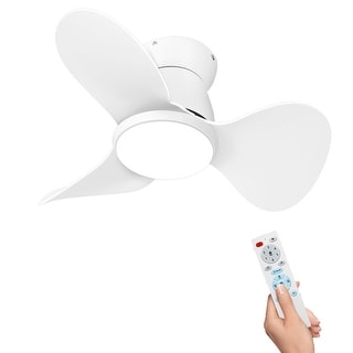 24 in. White Small Indoor Ceiling Fan with Light, Remote Control ...