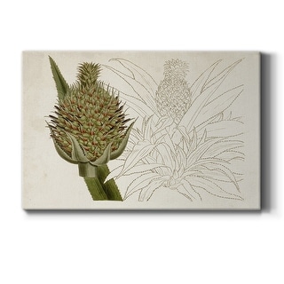 Tropical Foliage & Fruit VI Premium Gallery Wrapped Canvas - Ready to ...