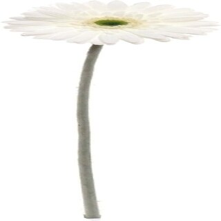 24-Pack White Gerbera Daisy Flower Stem by Floral Home® - White - Bed ...