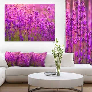 Bright Purple Lavender Field Tihany' Large Floral Canvas Art Print ...