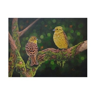 Steve Crockett 'Yellow Hammer Birds' Canvas Art - Bed Bath & Beyond ...
