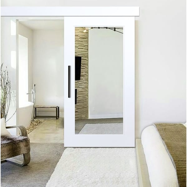 framed mirror door