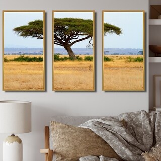 Designart "Acadia Tree and Cheetah in Africa" Landscape Framed Artwork ...
