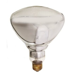 250W Bulb Socket Light Bulb Clear Glass American Imaginations - Bed ...