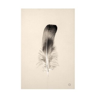Nathan Larson 'Floating Feathers IV Sepia' Canvas Art - Bed Bath ...