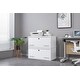 Biometric Fingerprint File Cabinet, Large Drawer Filing Cabinet - Bed ...