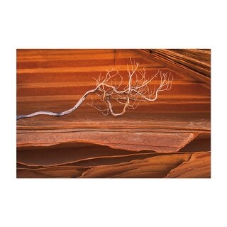 Vermilion Cliffs National Monument Arizona Abstract Art Print/Poster ...