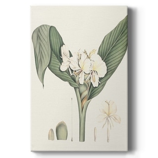 Soft Tropical V Premium Gallery Wrapped Canvas - Ready to Hang - Bed ...