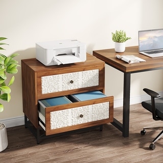 Lateral File Cabinet with 2 Drawers, Wood Filing Cabinet with Solid ...