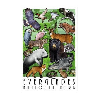 Everglades National Park Illustrations Animals Bear Art Print/Poster ...