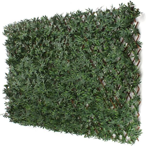 Cannabis Trellis - 20 x 108 - On Sale - Bed Bath & Beyond - 38461186