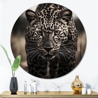 Designart "African Monochrome Leopard Portrait" Animals Metal Circle ...