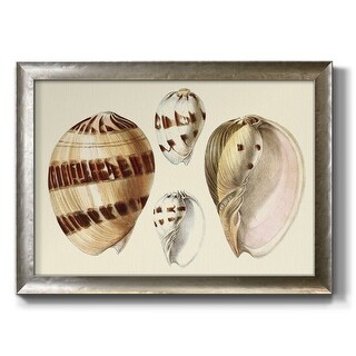 Splendid Shells VII Premium Framed Canvas- Ready to Hang - Bed Bath ...