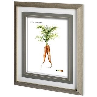 Root Vegetable III Framed Art Print - Bed Bath & Beyond - 39199311