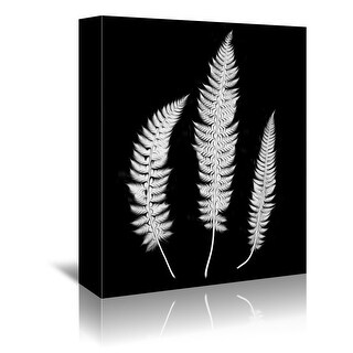 Americanflat - 8" x 10" Swirl Ferns I by Chaos & Wonder Design Wrapped ...