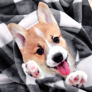 Flannel Fleece Buffalo Plaid Warm Breathable Blanket 30x40 - Bed Bath ...