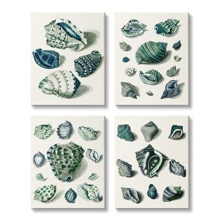 Stupell Nautical Spiral Conch Shell Collage Blue Green , 4pc Multi ...