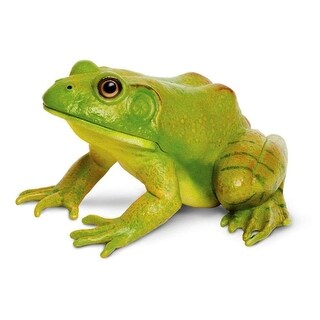 4.75" Green American Bullfrog Educational Teaching Figurine - Bed Bath ...