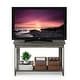 Porch & Den Dancy TV Stand - Bed Bath & Beyond - 22886093