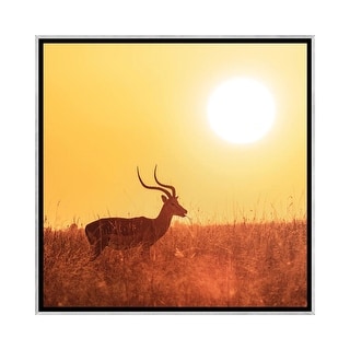 iCanvas "Impala Grazing At Sunrise, Masai Mara" by Jane Rix Framed ...